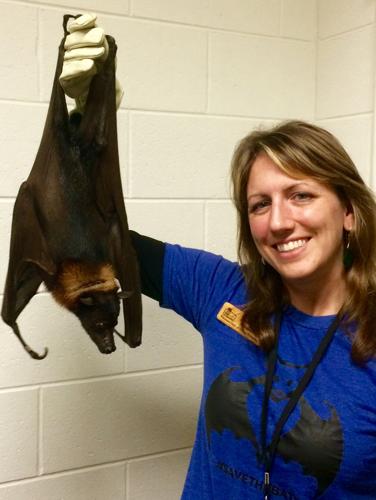 Online tour showcases secrets of Kickapoo Caverns | Family | news8000.com