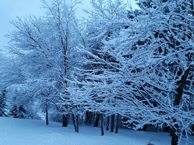Your Photos of the April 2018 Snow Storms | News | news8000.com