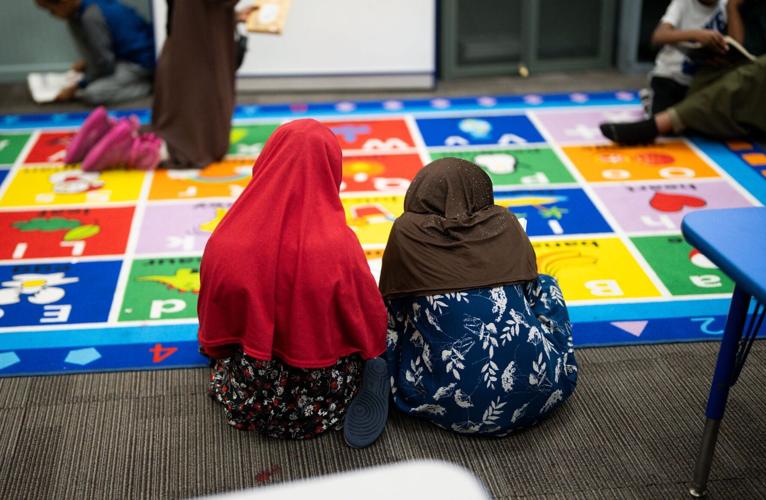 House Oversight hearing over fraud allegations in Minnesota drew ...