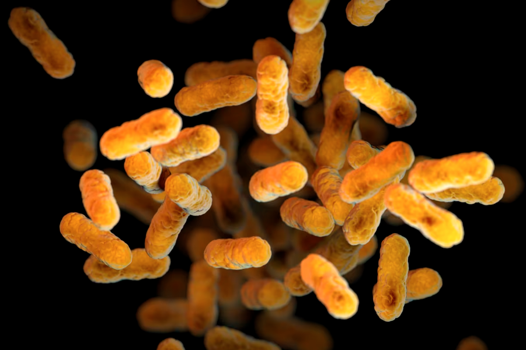 The US has seen nearly 28,000 whooping cough cases this year. Here’s ...