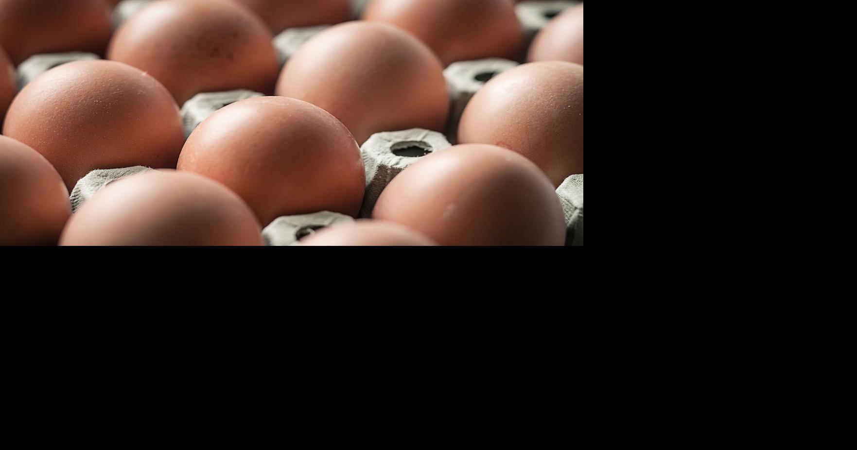 Egg producers fined $3.3 million for price manipulation scheme ...