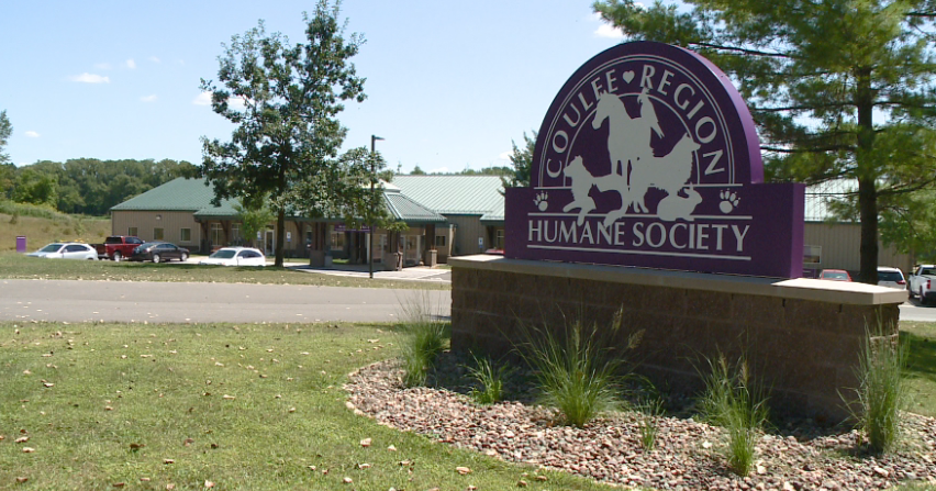 Coulee Region Humane Society hosts 20th Annual Adoptathon | Local News ...