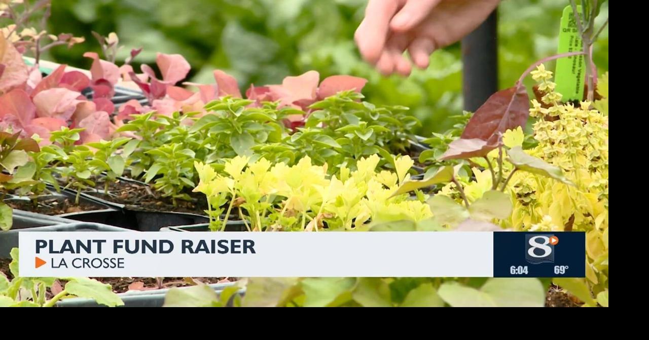 Plant Fund Raiser | News | news8000.com