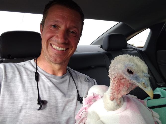 Sparta gym turns away turkey for committing fitness fowl | Local News ...