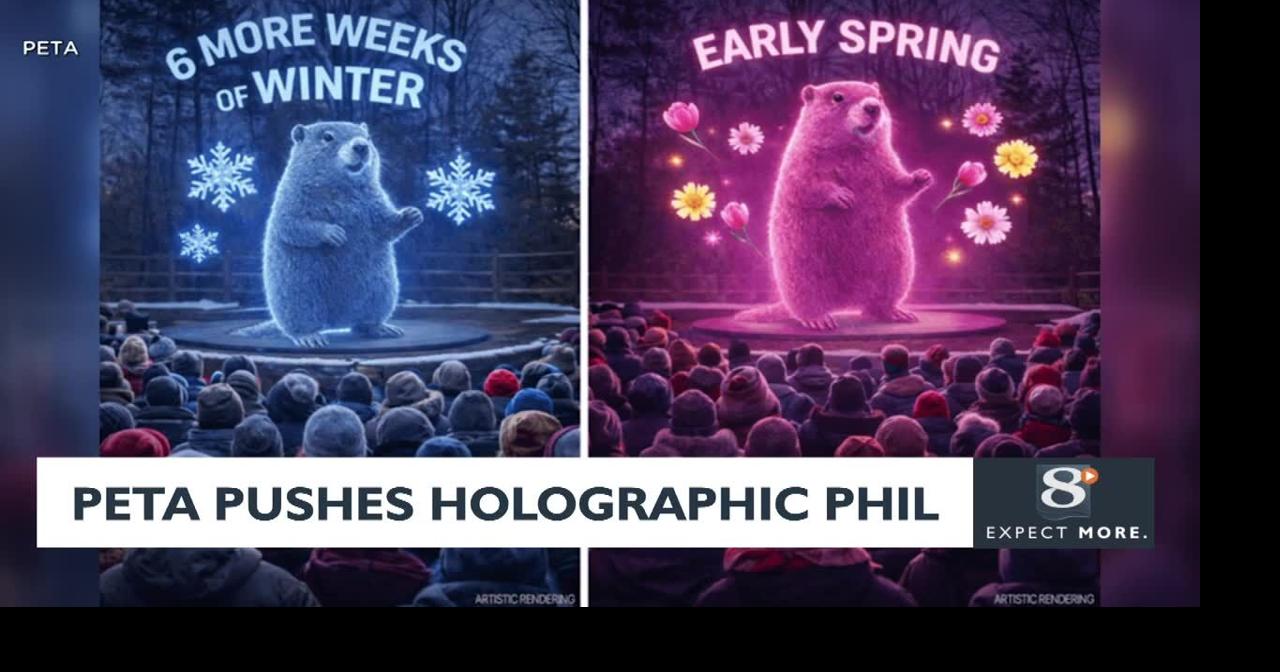PETA Pushes Holographic Phil | News | news8000.com