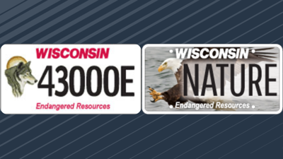 Wisconsin DNR offers $25 rebate on endangered resources license plates ...