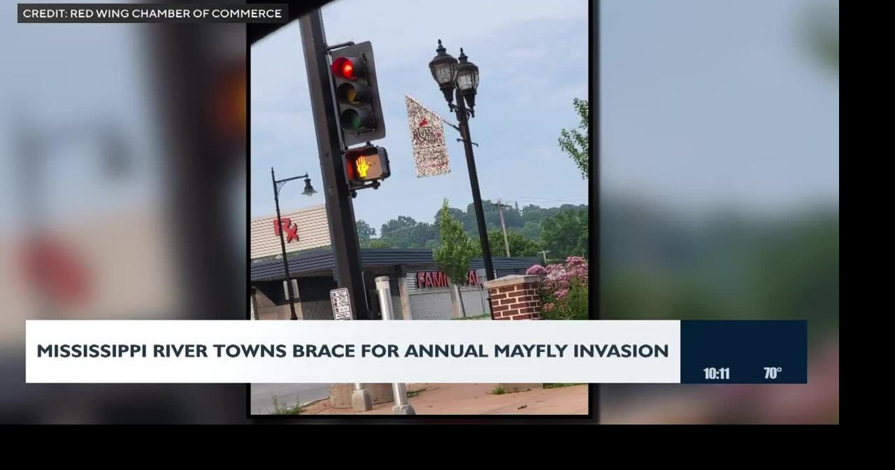 Mississippi River Towns Brace for Annual Mayfly Invasion | News ...