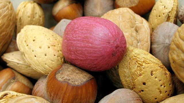 Best and worst nuts for your health | Entertainment | news8000.com