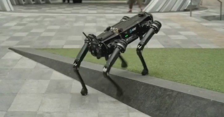 Robotics firm launching robot dog capable of sniffing out fentanyl ...