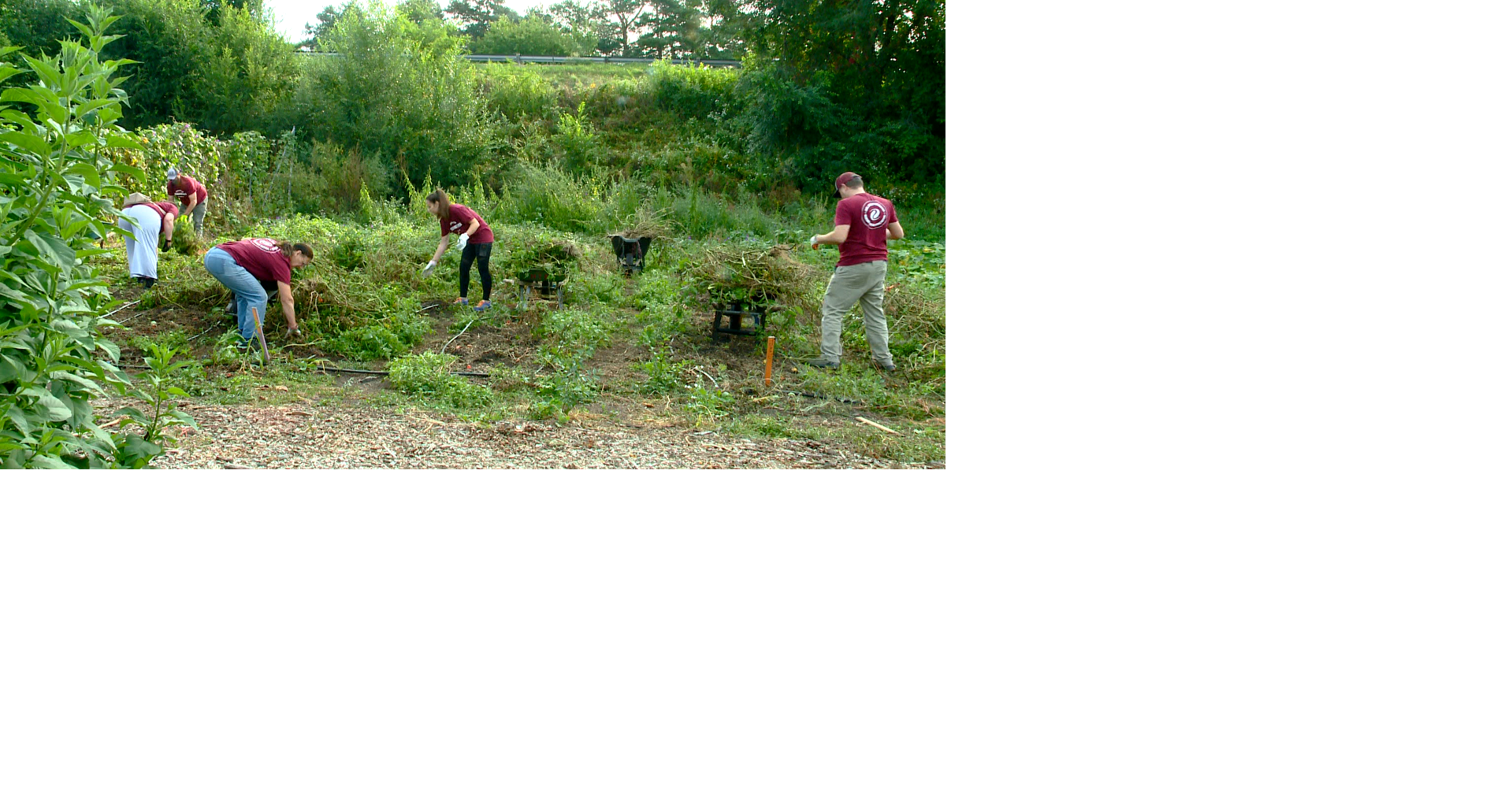 Xcel Energy celebrates 15th annual Day of Service with community garden ...