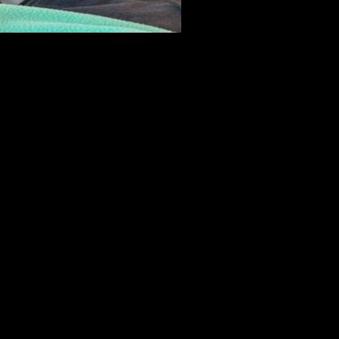 Sherry Witt | Obituaries | news8000.com