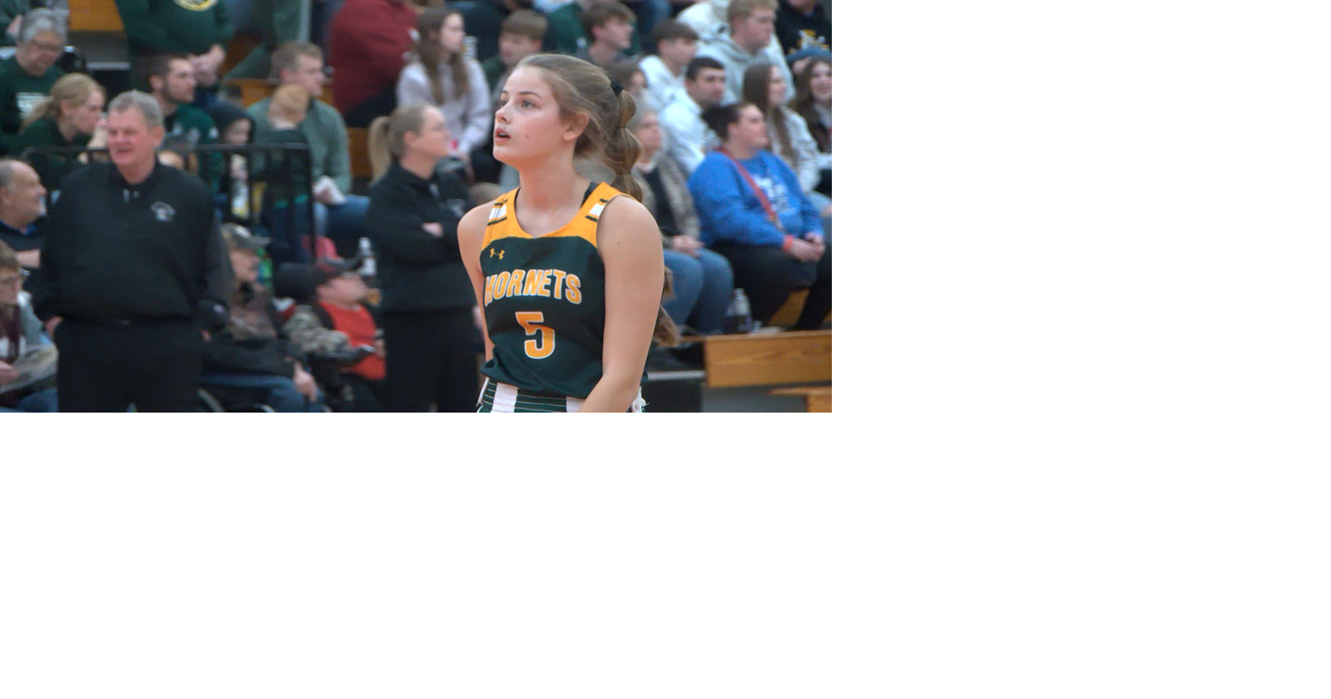 Wauzeka-Steuben girls fall short in section semifinal | Wauzeka-Steuben ...