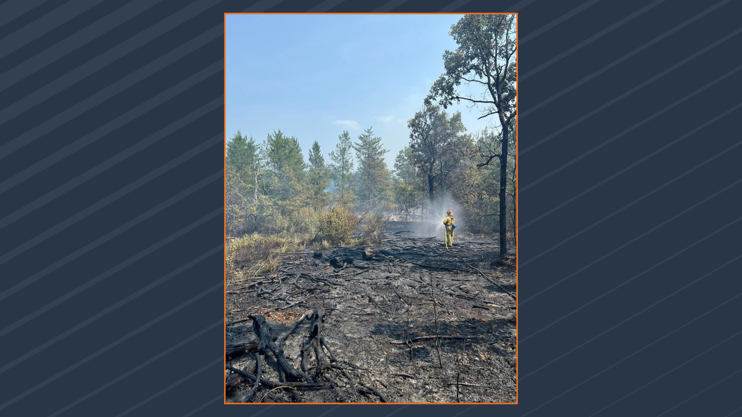 Fire crews respond to wildfire in Black River Falls | Local News ...