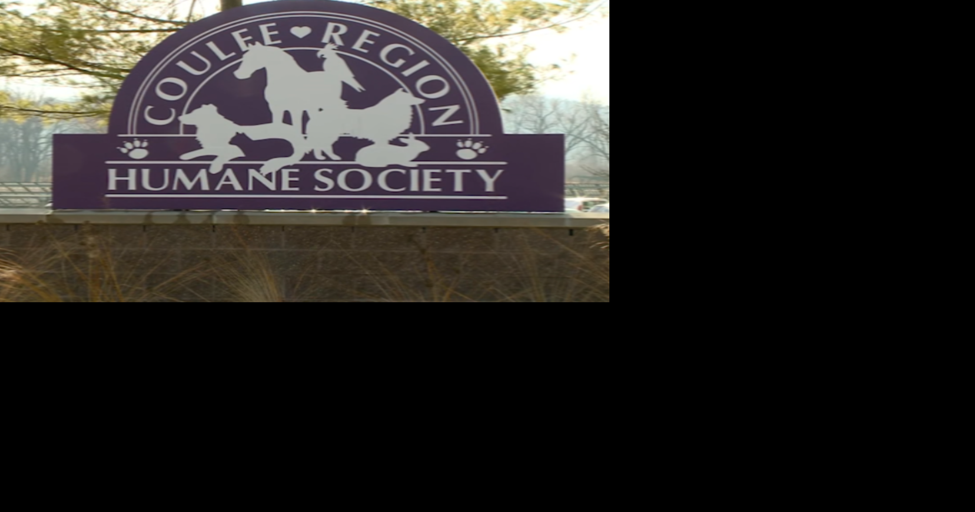 Coulee Region Humane Society reduces adoption fees to find homes for long-stay dogs | Pets ...