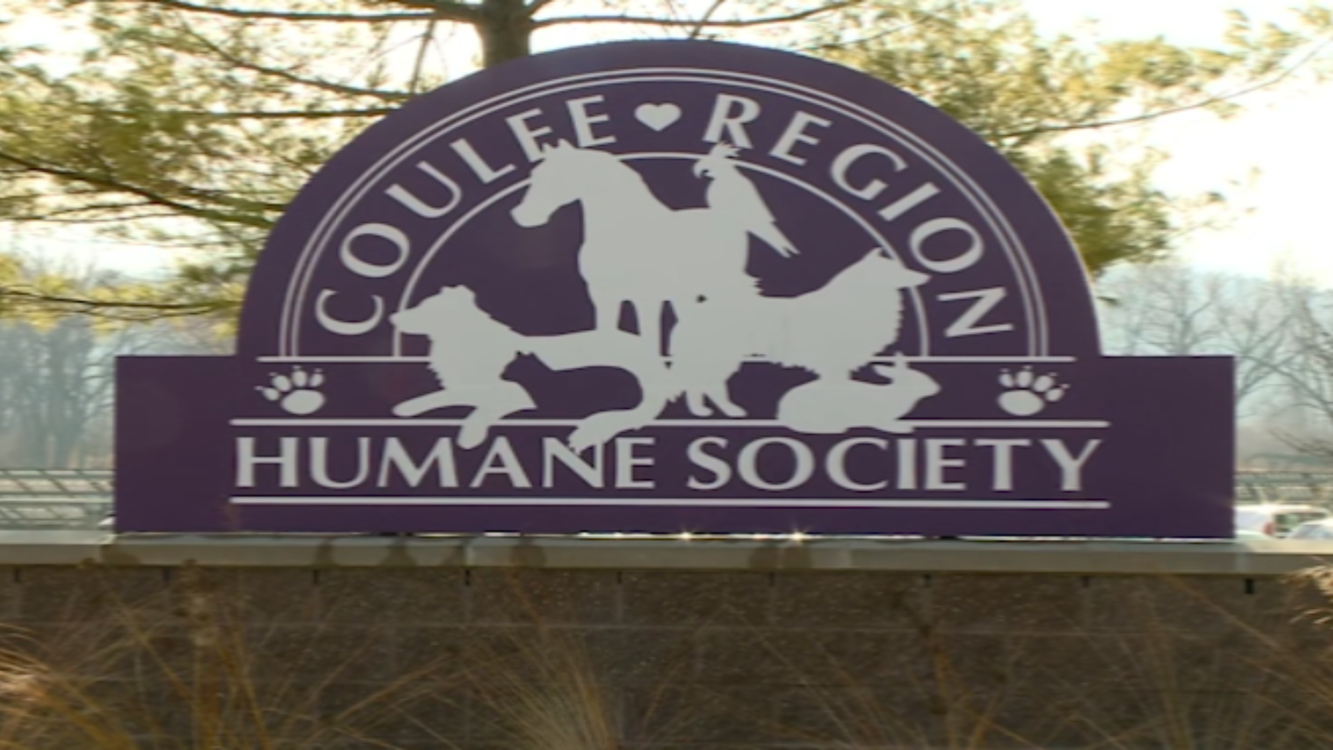 Coulee Region Humane Society reduces adoption fees to find homes for long-stay dogs | Pets ...