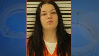 Menomonie teen pleads guilty to three felony charges in fatal hit-and ...