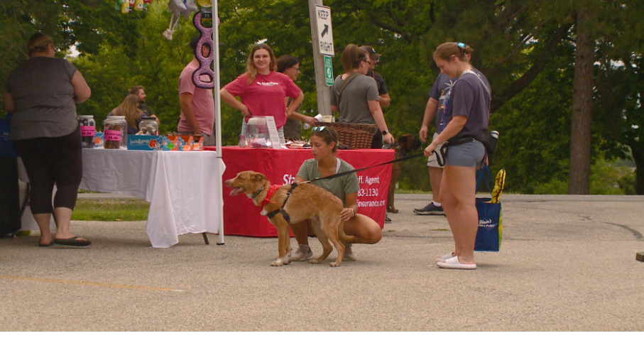Onalaska Parks and Recreation host second annual Barks in the Park | Local News | news8000.com