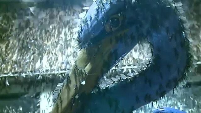 Mayflies hatch in La Crosse | Local News | news8000.com