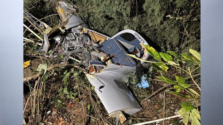Pilot survives single-engine plane crash in southern Indiana | Regional ...