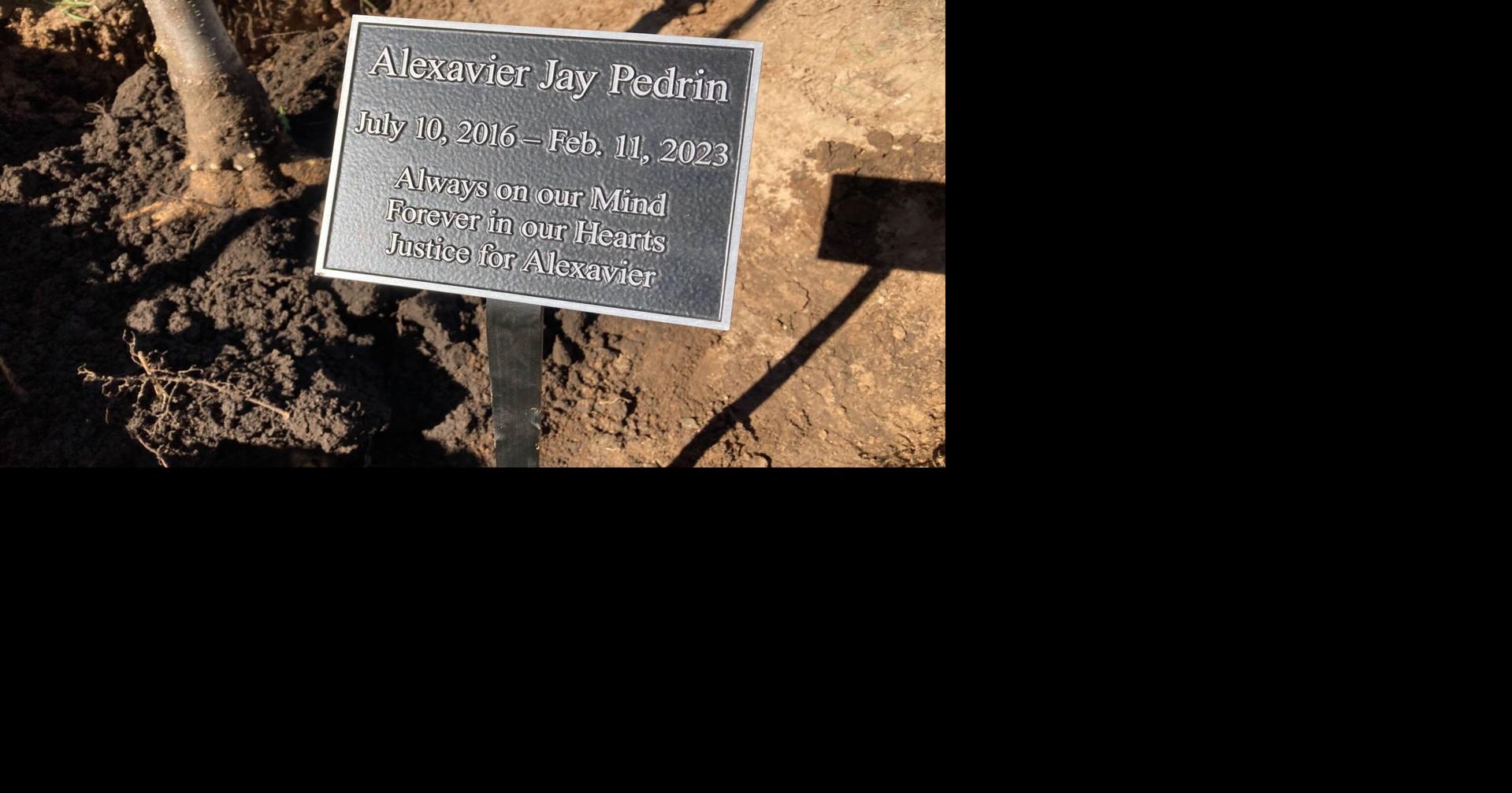 Family honors Alexavier Pedrin with tree planting in Myrick Park ...