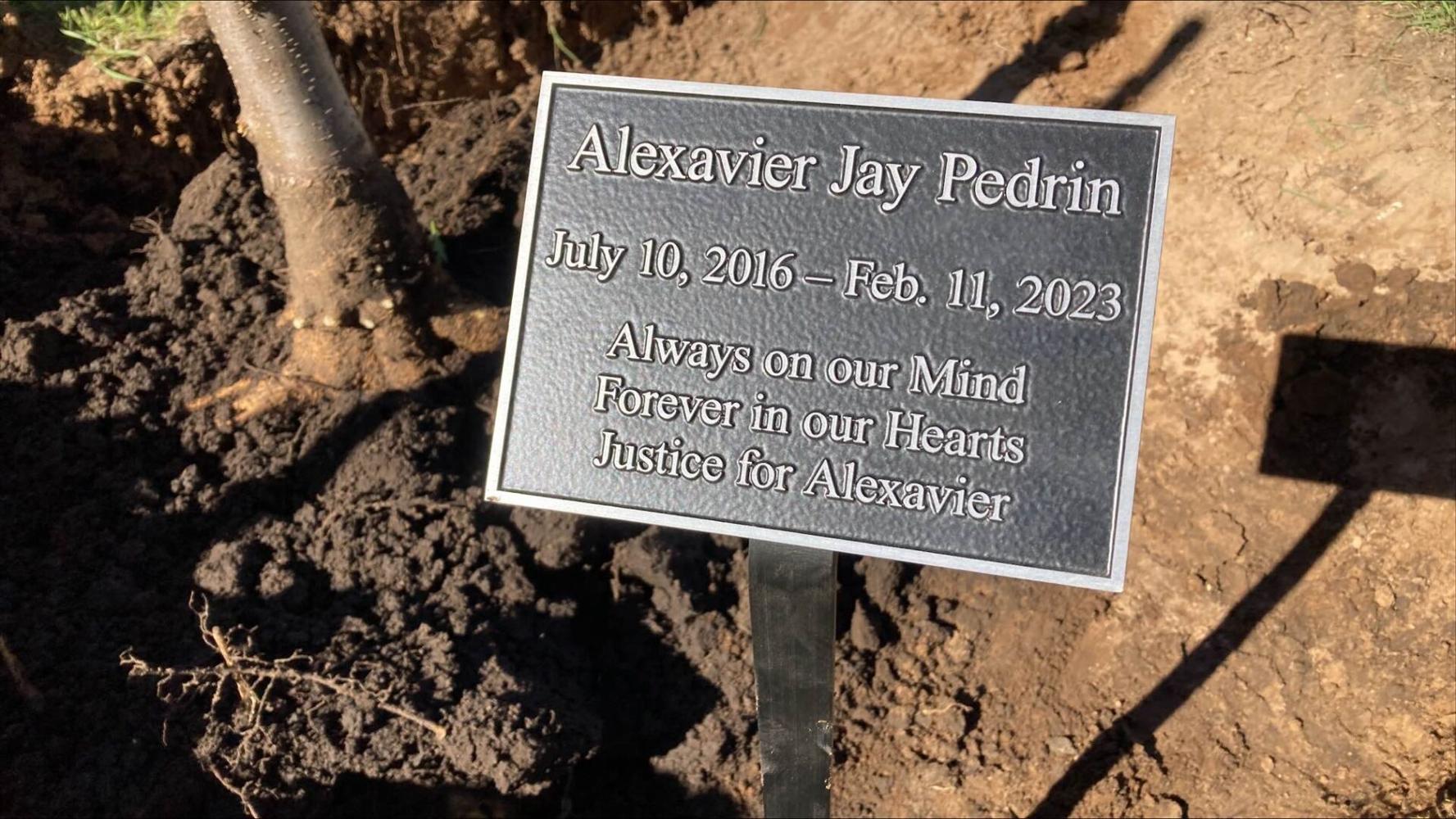 Family honors Alexavier Pedrin with tree planting in Myrick Park ...
