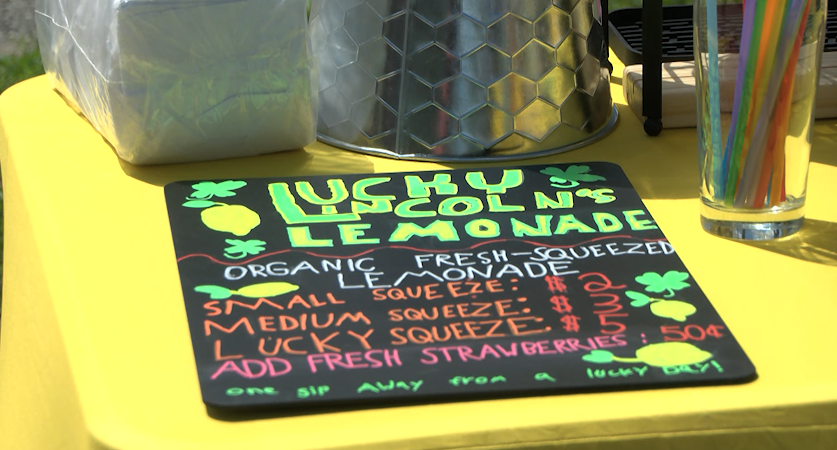 9-year-old debuts lemonade stand at Trempealeau Farmers Market ...