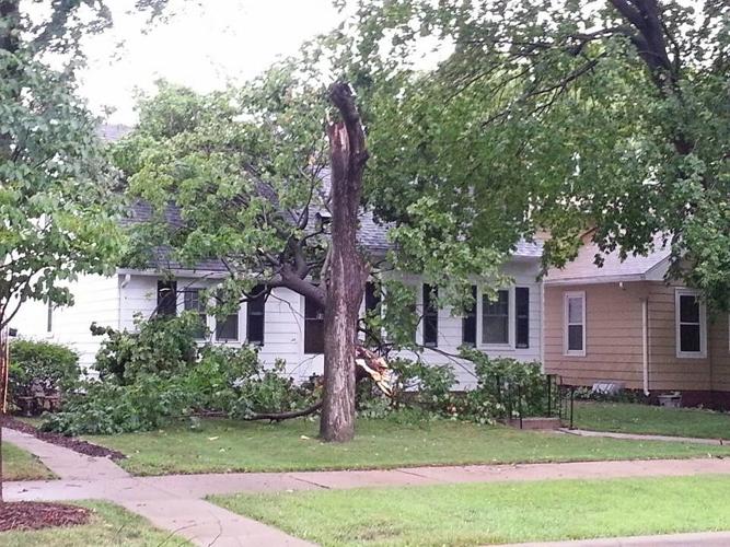 PHOTOS: Flooding, trees down from storm | Local News | news8000.com