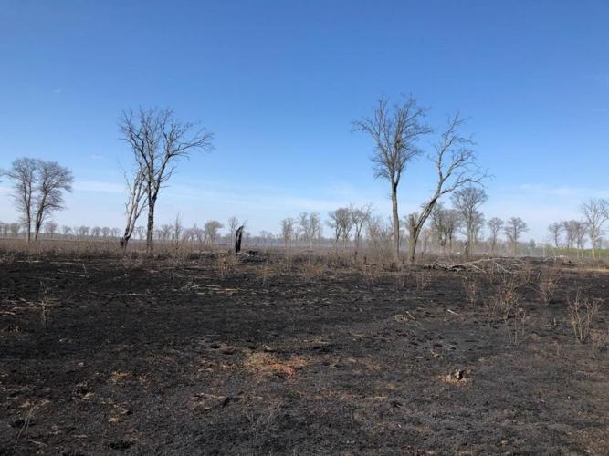 Wildfire at Necedah Wildlife Refuge burns 240 acres | Top Stories ...