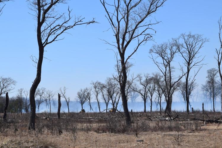 Wildfire at Necedah Wildlife Refuge burns 240 acres | Top Stories ...