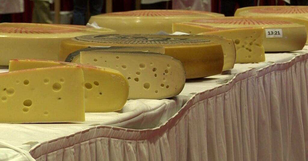Creamery in Westby wins awards from American Cheese Society | Food ...