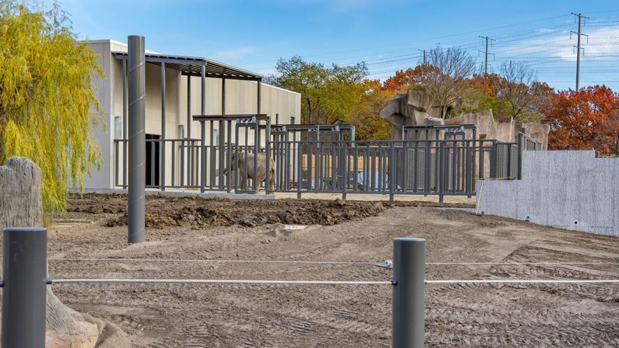Milwaukee County Zoo opens revamped elephant exhibit | Features ...