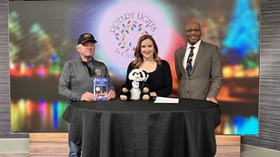 Rotary Lights Celebrates 30 Years of Light Displays | Holidays ...