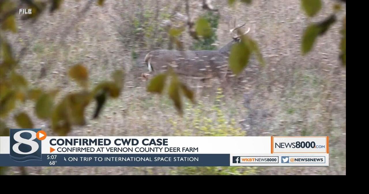 Buck at Vernon County deer farm tests positive for CWD | Local News ...