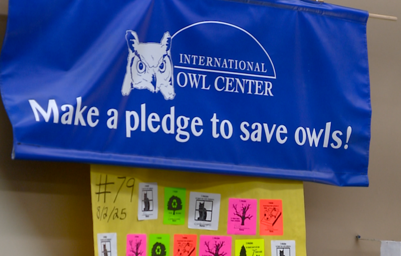 International Owl Center offers free admission for Owl Awareness Day ...