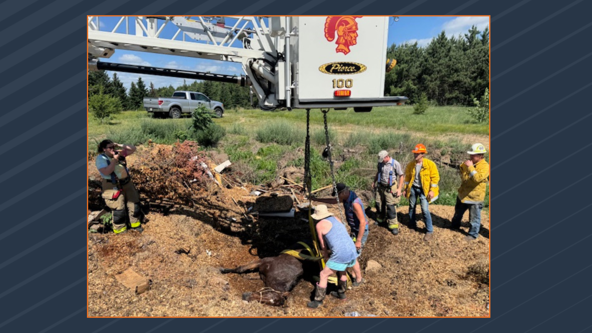 Horse rescued from manure pit by Sparta Area Fire Department | Sparta ...