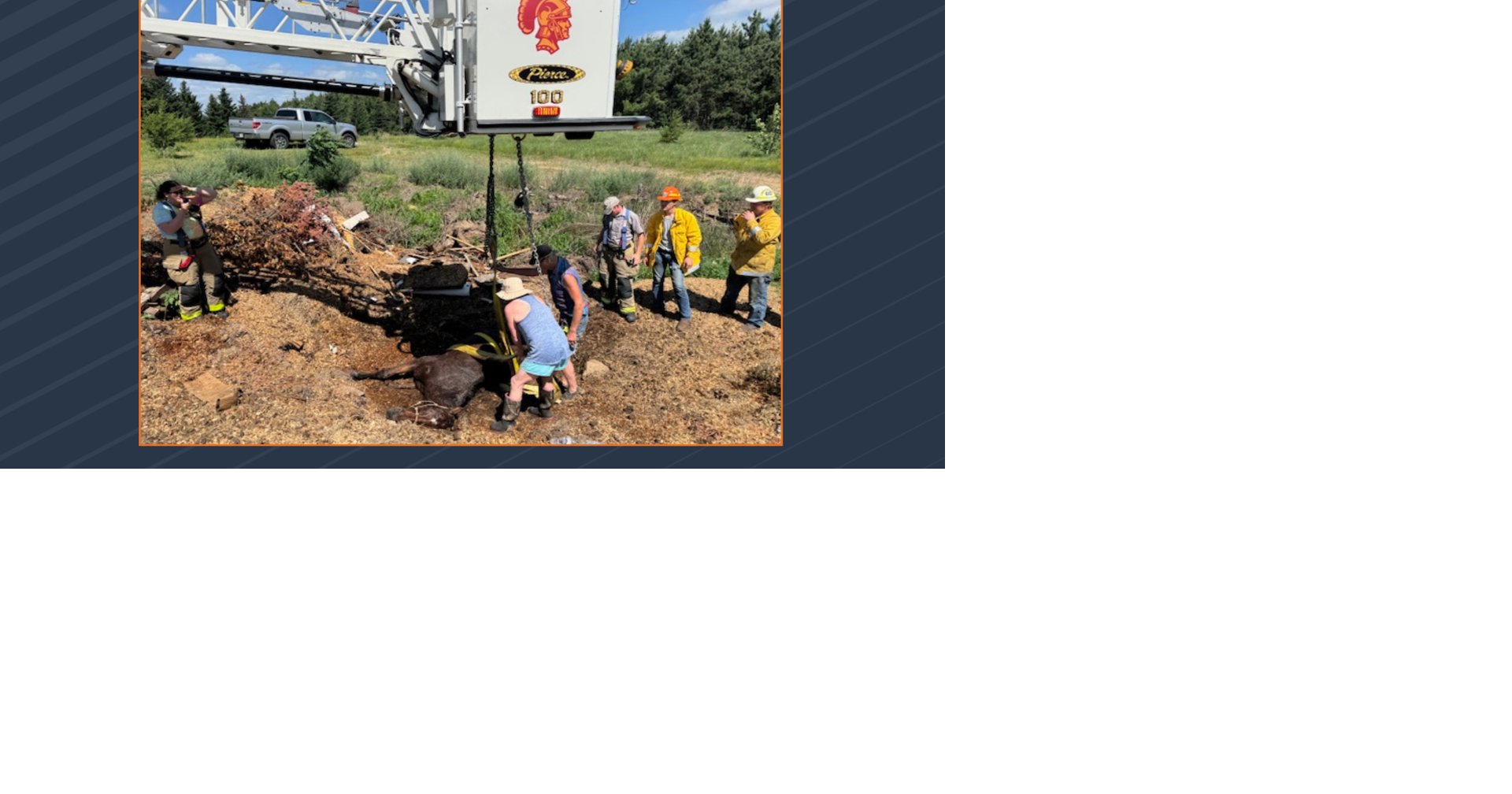 Horse rescued from manure pit by Sparta Area Fire Department | Sparta ...