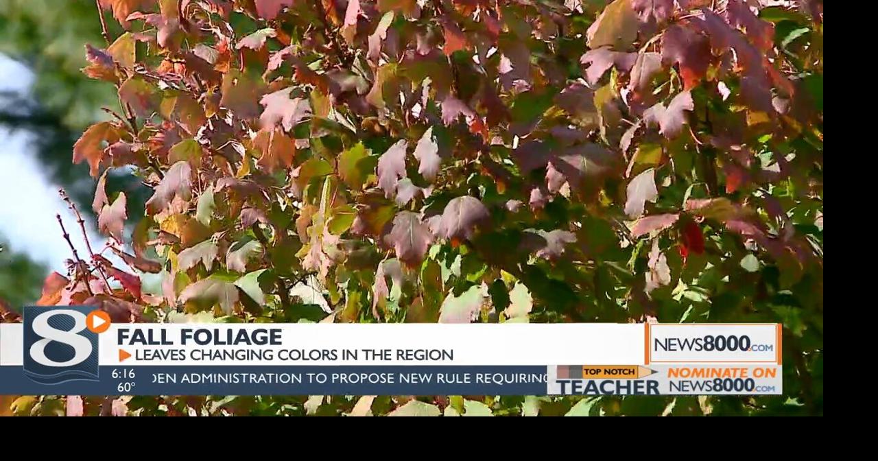 Fall foliage: leaves changing colors in the Coulee Region | La Crosse ...