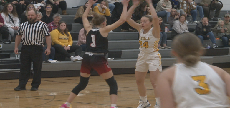 Royall girls' basketball team stays unbeaten | Royall Panthers ...