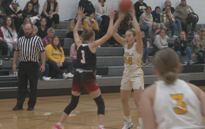 Royall girls' basketball team stays unbeaten | Royall Panthers ...