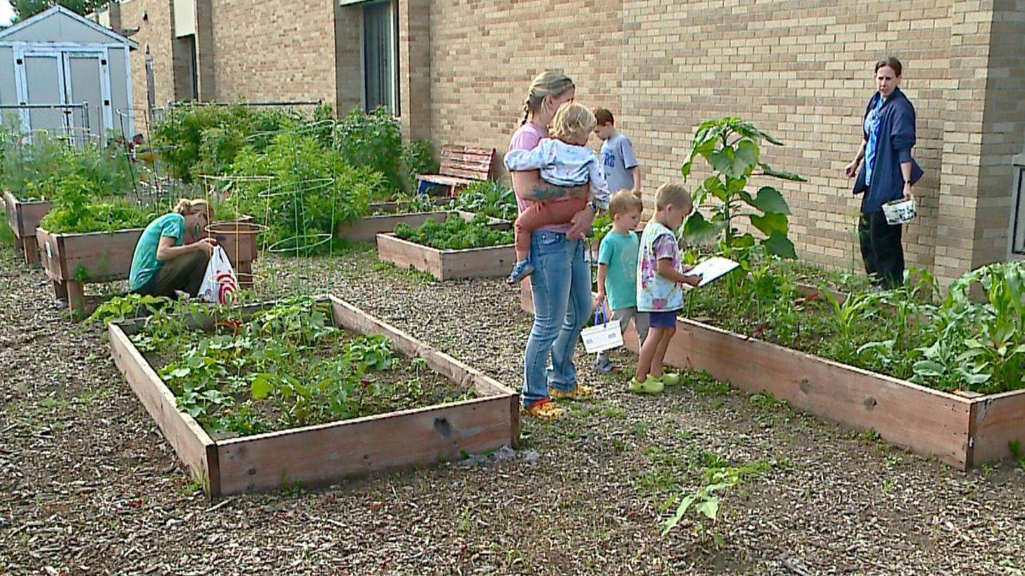 GROW kicks off summer school garden party series open to La Crosse and ...