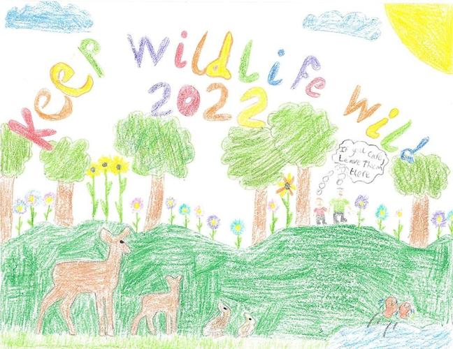Coulee Region students win Wisconsin DNR Keep Wildlife Wild Poster ...