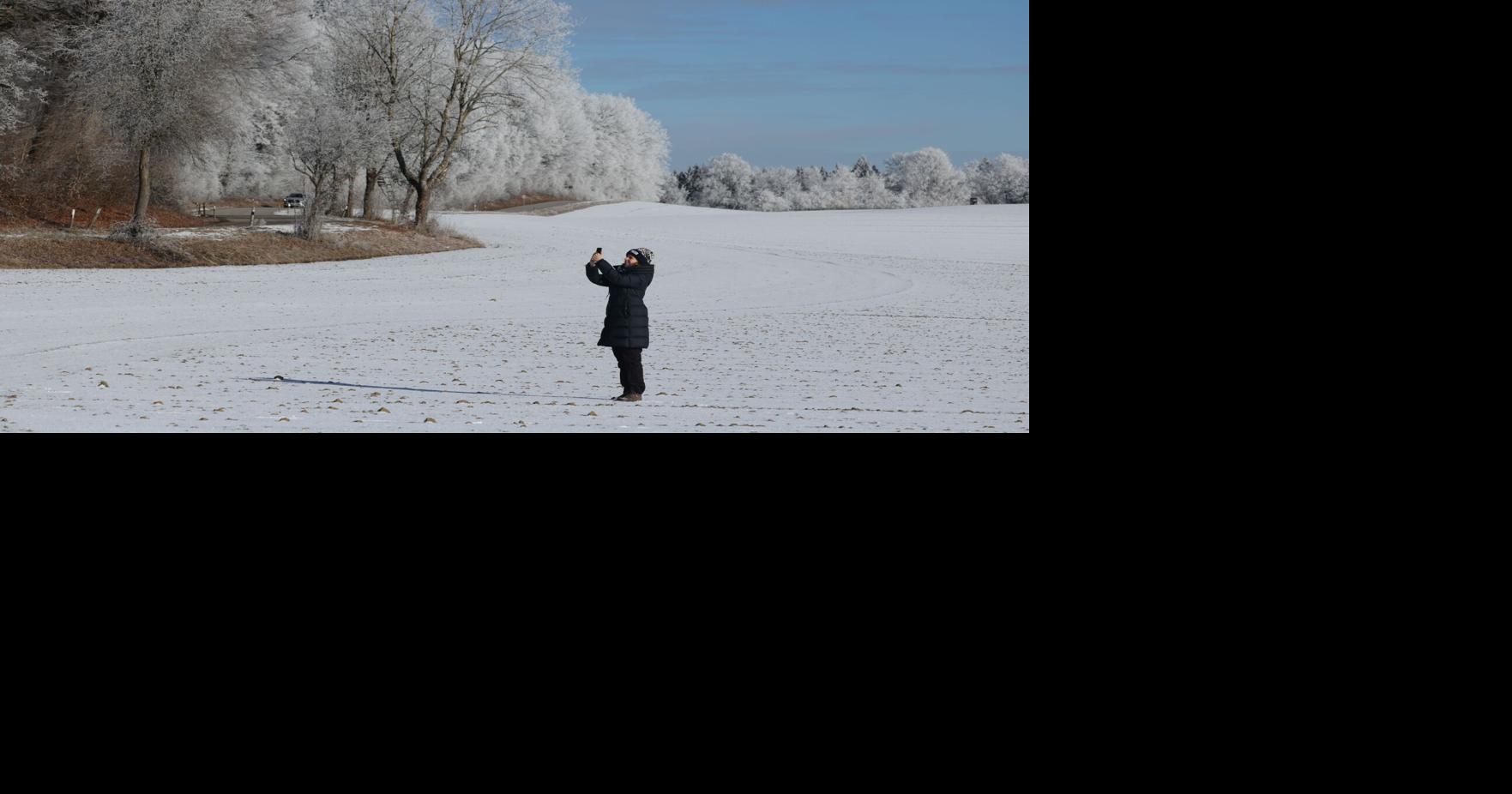 What are ‘exploding trees’? The winter phenomenon may not be what you ...