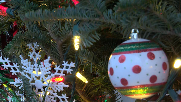 Rotary Lights celebration gets ready to kick off its 31st year with parade and community food ...