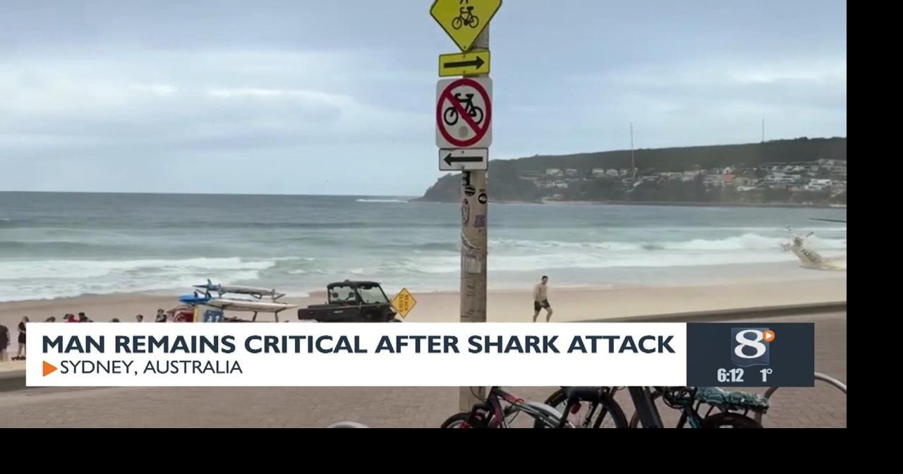 Man Remains Critical After Shark Attack | News | news8000.com