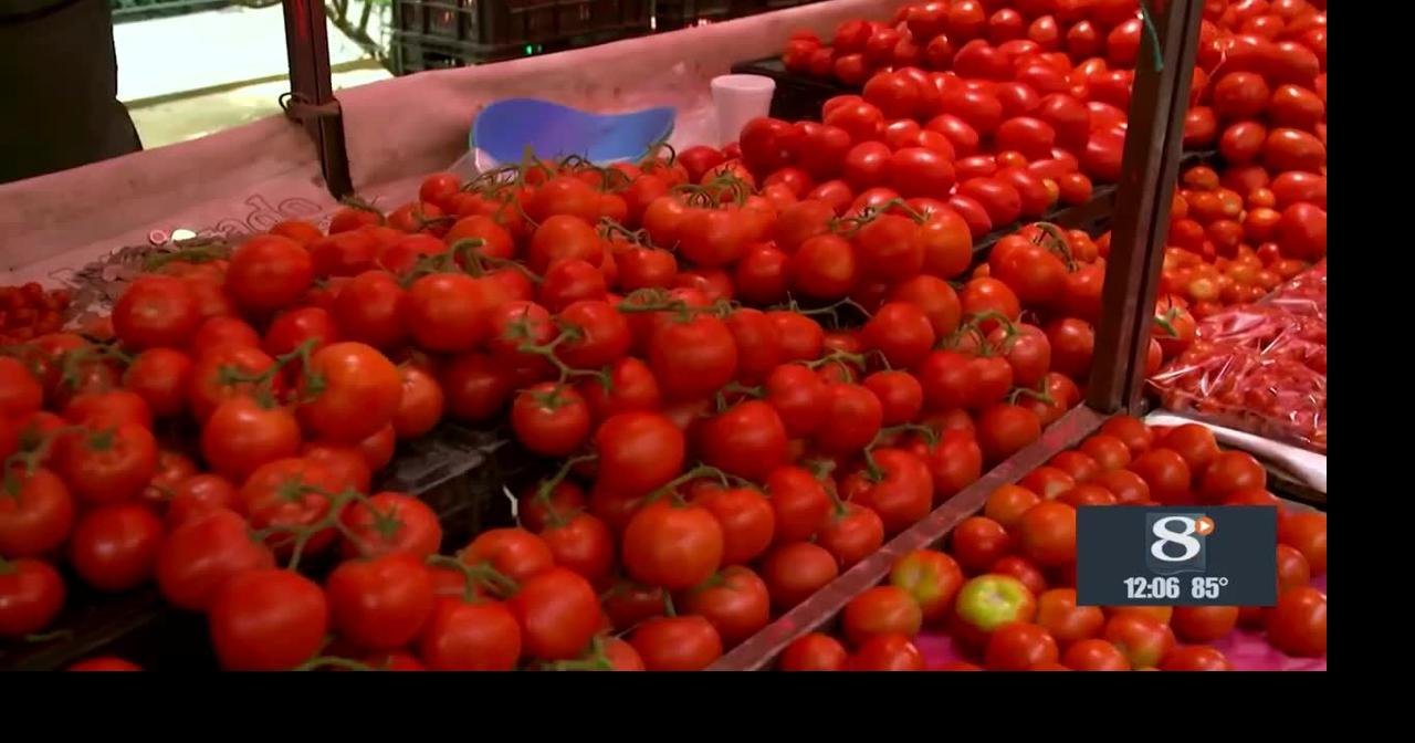 Tomato prices could jump over tariffs | News | news8000.com