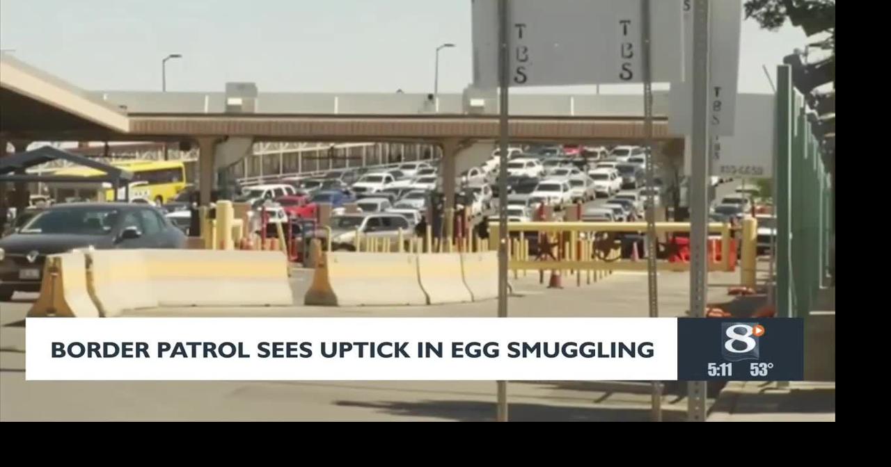 Border patrol sees an uptick in egg smuggling | News | news8000.com