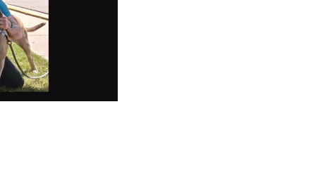 Skylor Steven Hanson | Obituaries | news8000.com