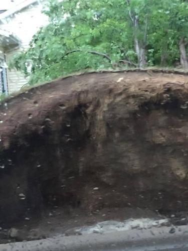 PHOTOS: Flooding, trees down from storm | Local News | news8000.com
