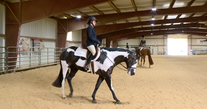 West Salem Hosts Wisconsin Open Horse Show Association's Two-Day Buckle ...