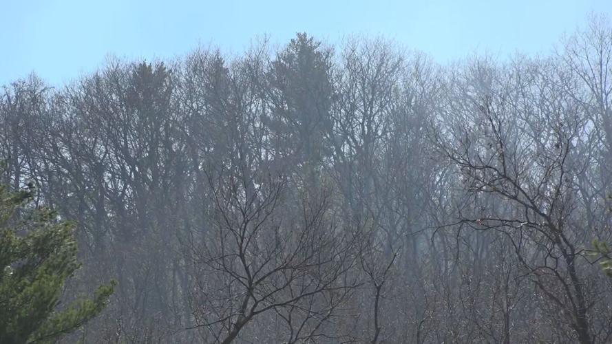 Arcadia Fire in Monroe Co. burns on as emergency response officials ...